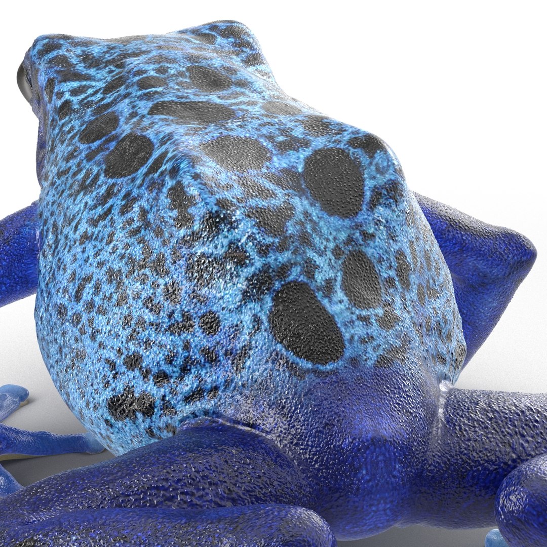 Poison Dart Frog 3ds