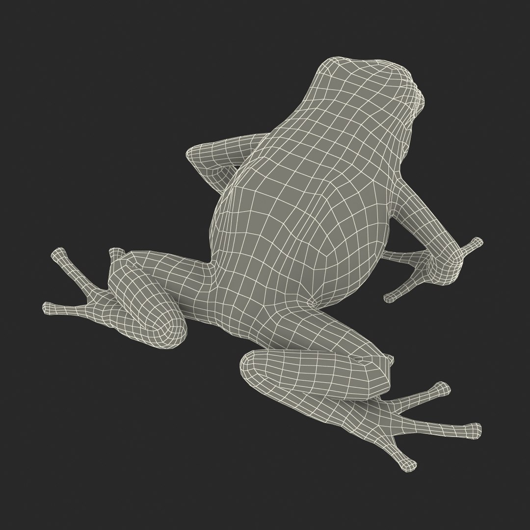 poison dart frog 3ds