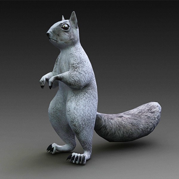 squirrel animals 3dr142 3d model