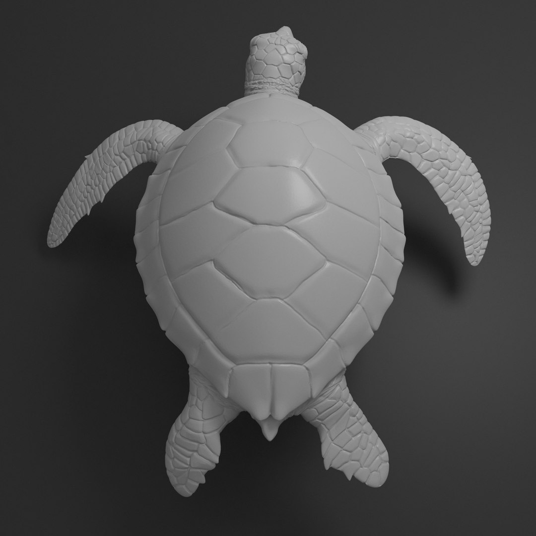 3D Turtle green sea - TurboSquid 1931220
