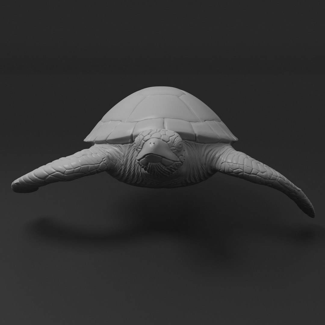 3D Turtle green sea - TurboSquid 1931220
