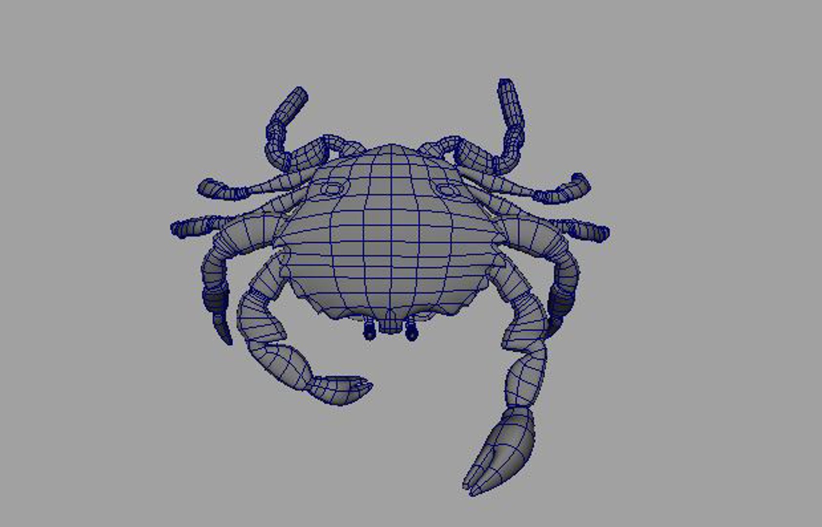 3d crab shell