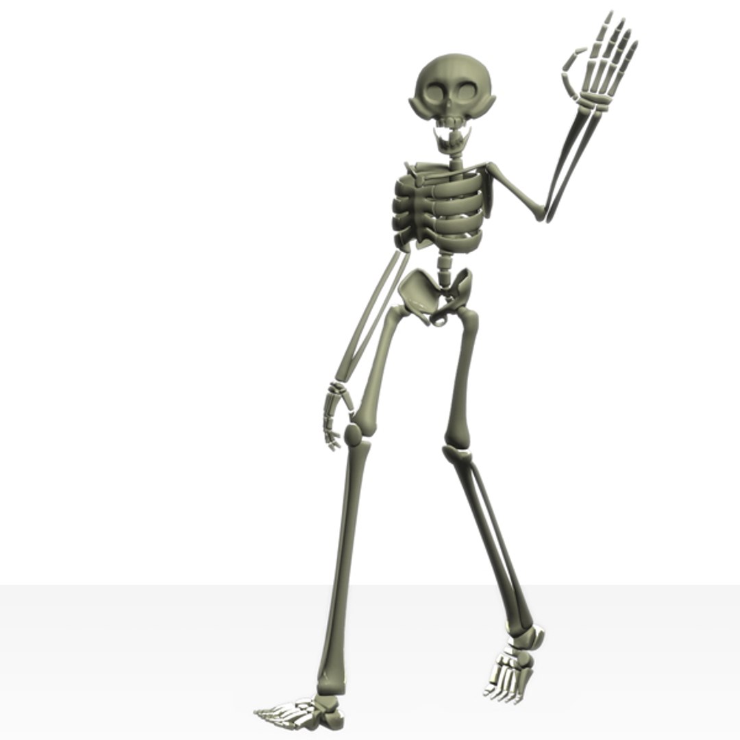 cartoon skeleton skelly rig 3d model