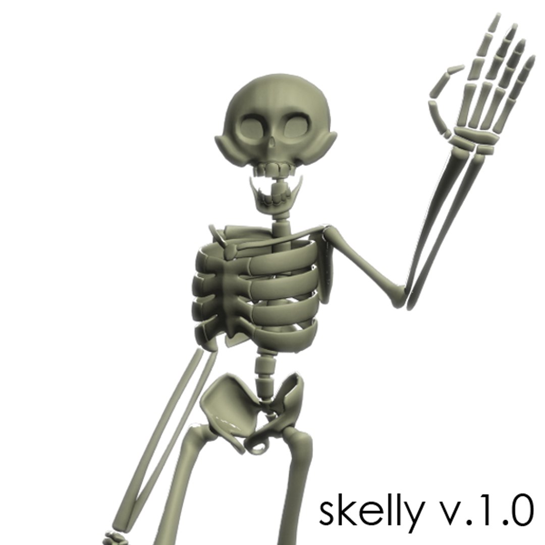 cartoon skeleton skelly rig 3d model