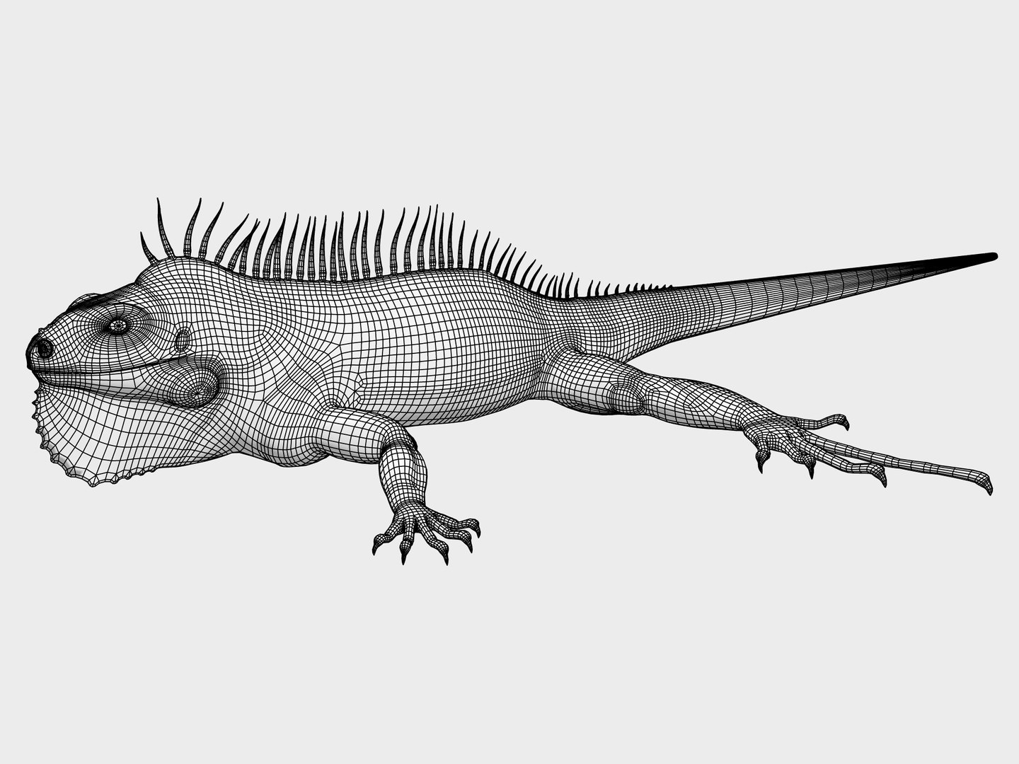 Green Iguana 3D Model - TurboSquid 1236663