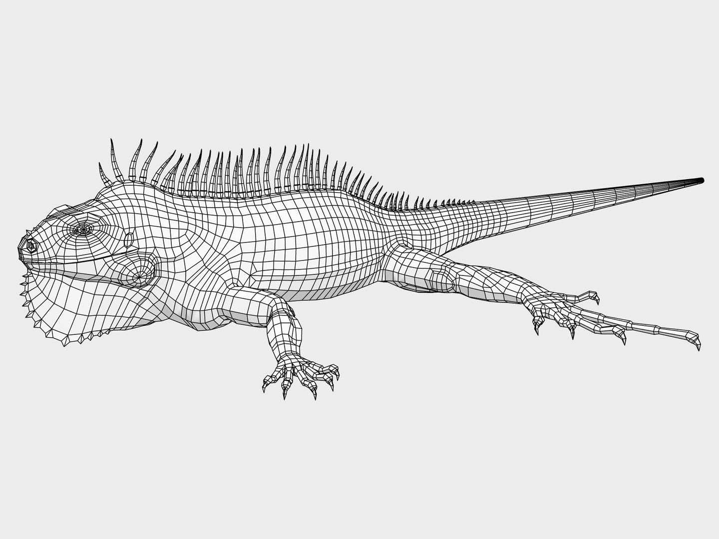Green Iguana 3D Model - TurboSquid 1236663