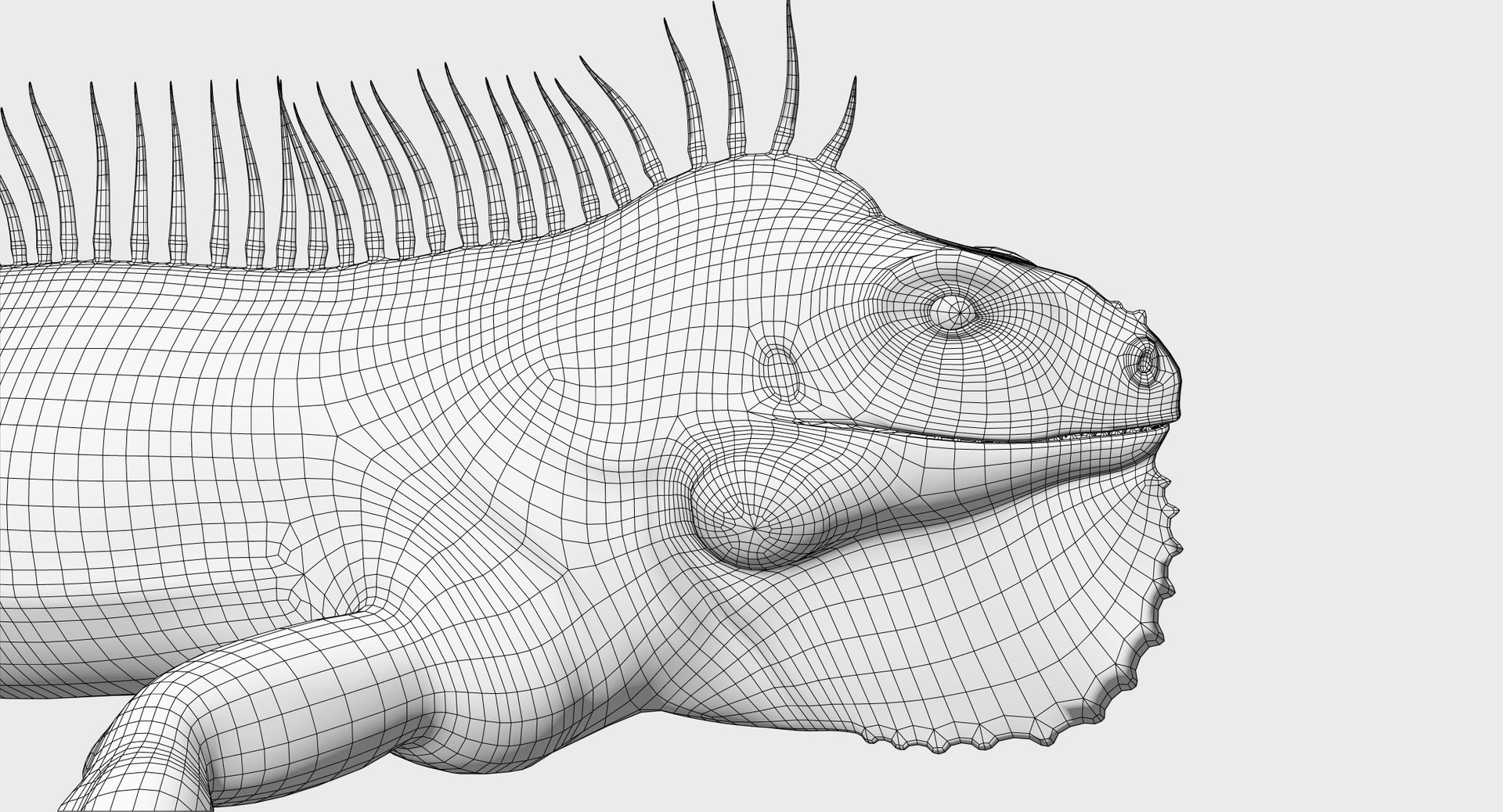 Green Iguana 3D Model - TurboSquid 1236663