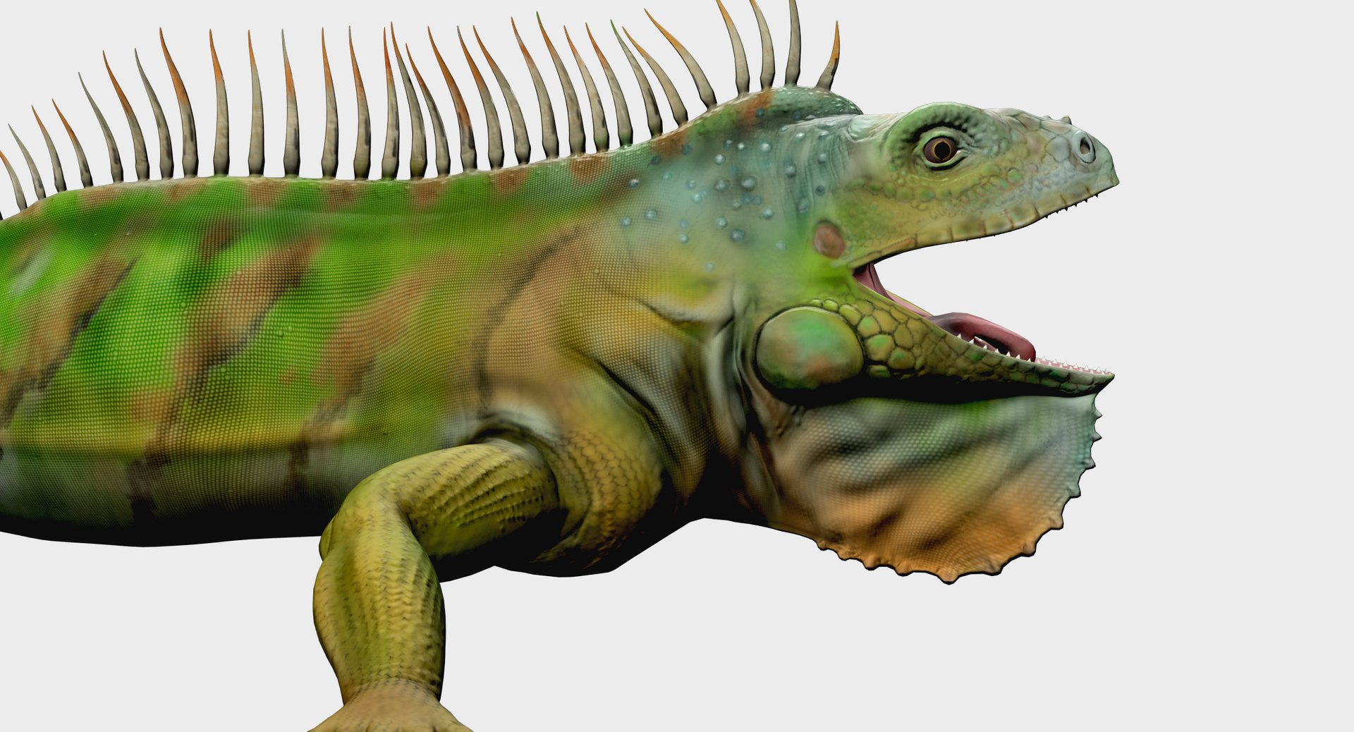 Green Iguana 3D Model - TurboSquid 1236663
