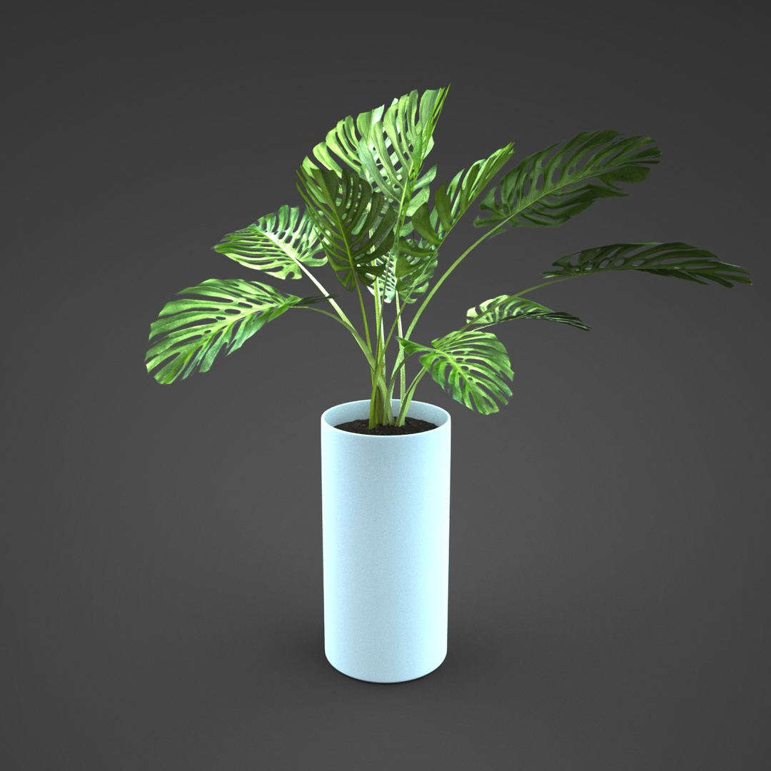 Plant Home 3d C4d