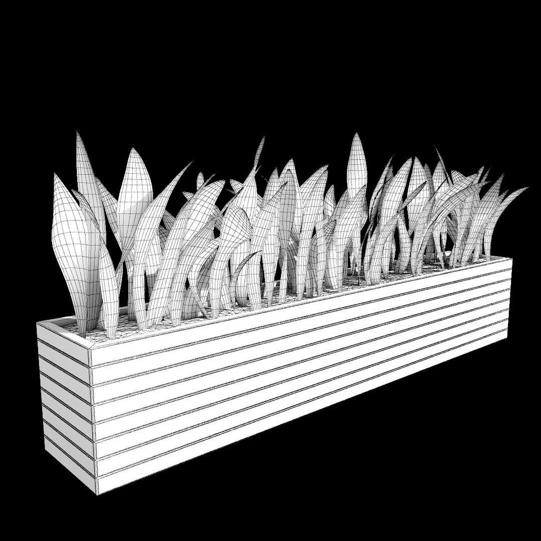 Indoor Outdoor Plant 3d Obj