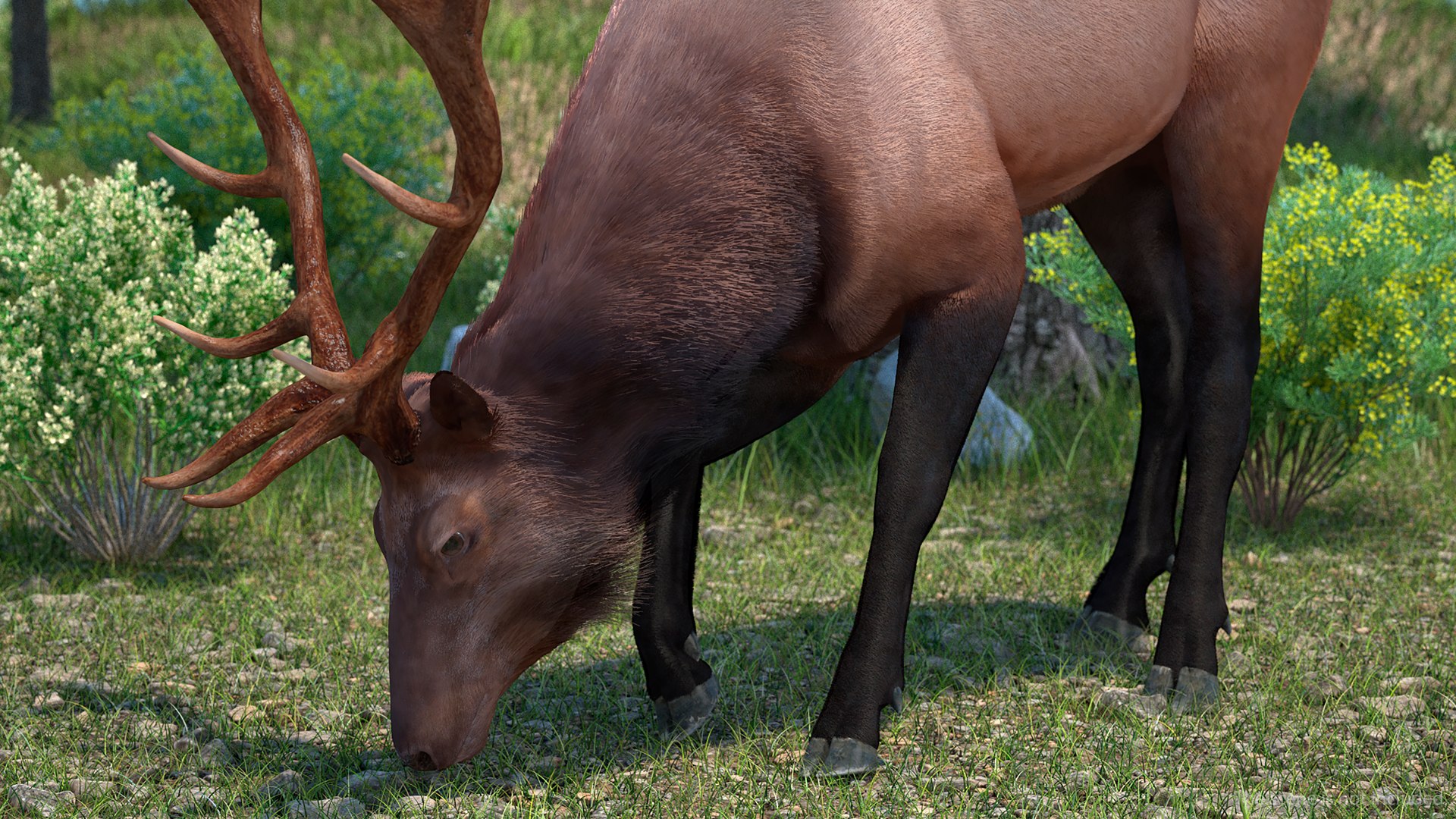 Realistic Elk Rigged With Fur 3D Model - TurboSquid 2263585