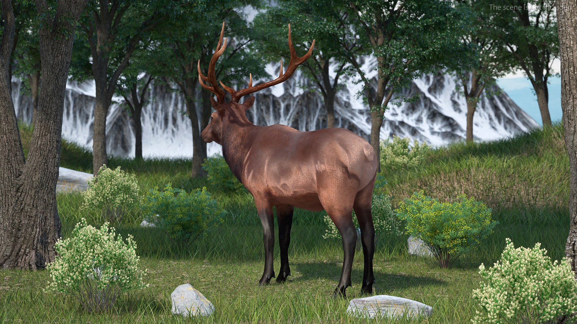 Realistic Elk Rigged With Fur 3D Model - TurboSquid 2263585