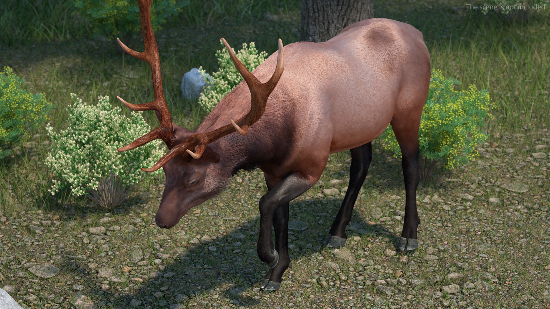 Realistic Elk Rigged With Fur 3D Model - TurboSquid 2263585