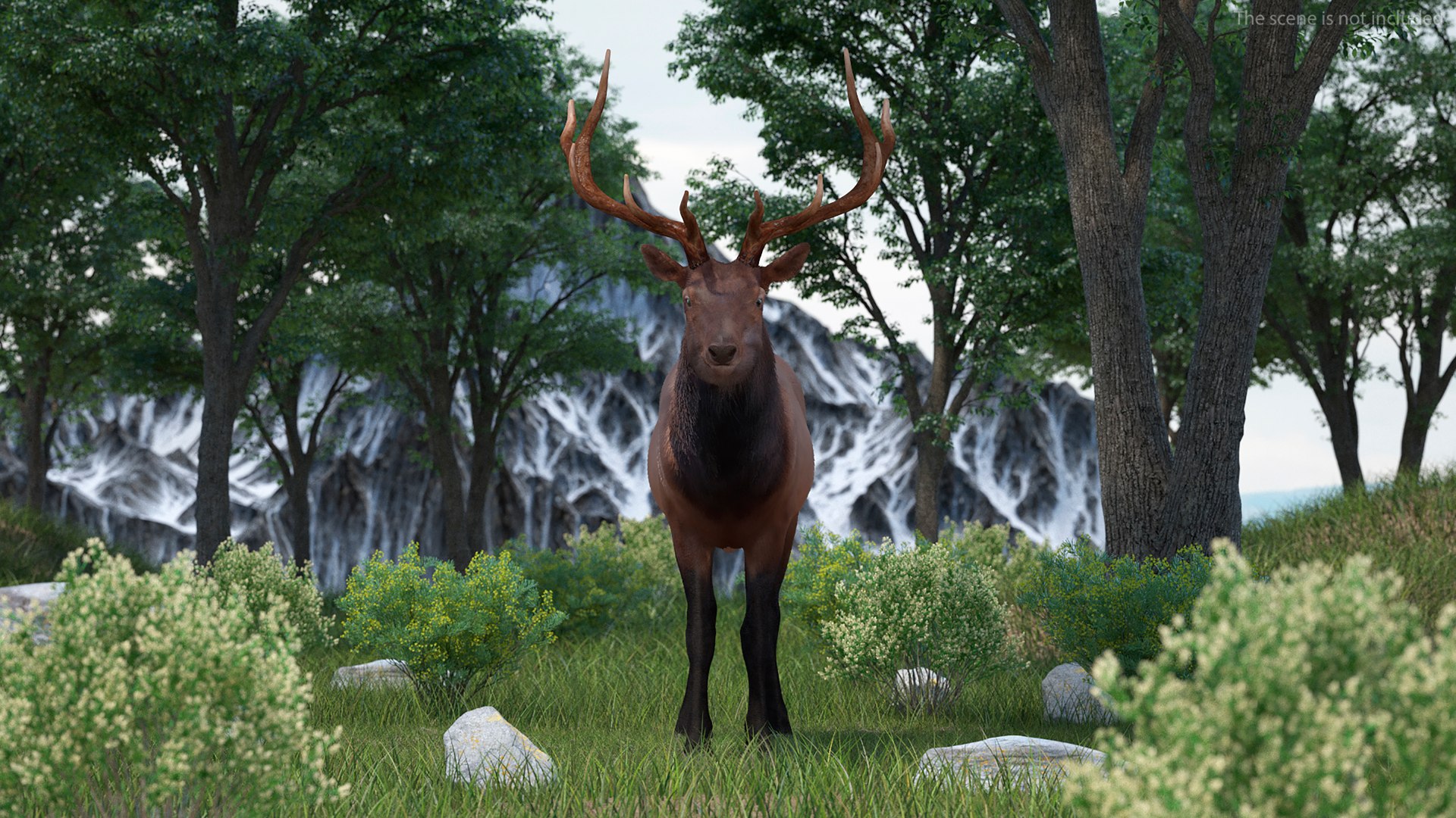 Realistic Elk Rigged With Fur 3D Model - TurboSquid 2263585