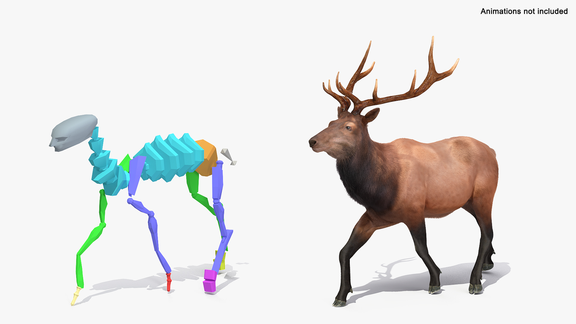 Realistic Elk Rigged With Fur 3D Model - TurboSquid 2263585