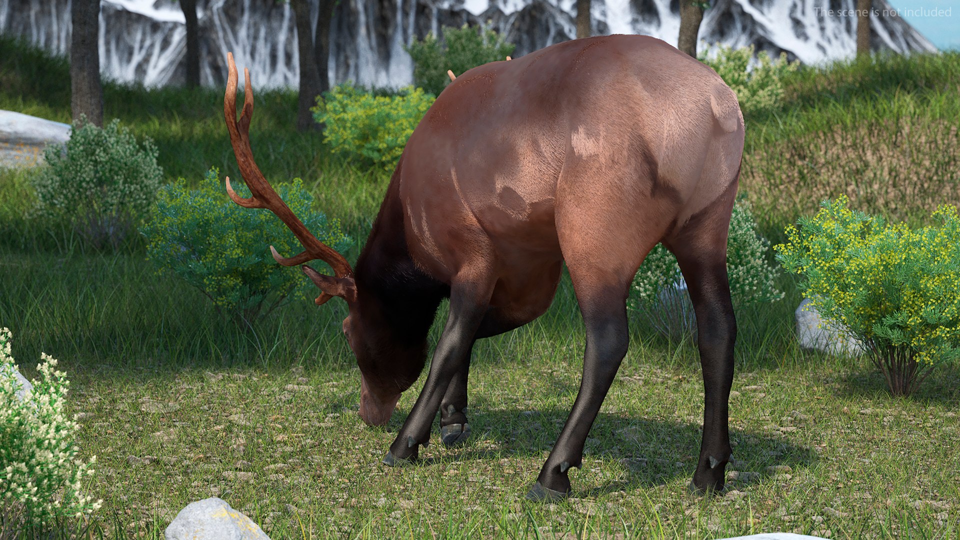 Realistic Elk Rigged With Fur 3D Model - TurboSquid 2263585