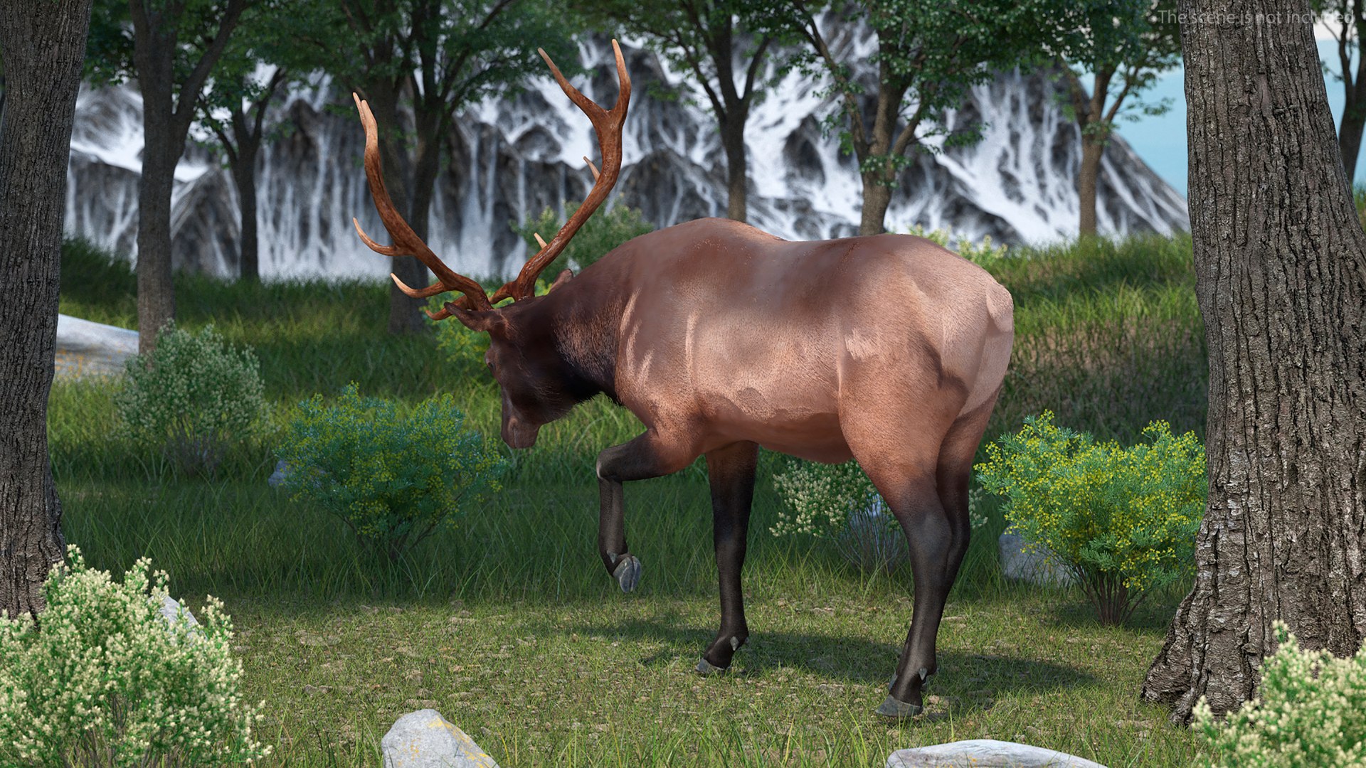 Realistic Elk Rigged With Fur 3D Model - TurboSquid 2263585