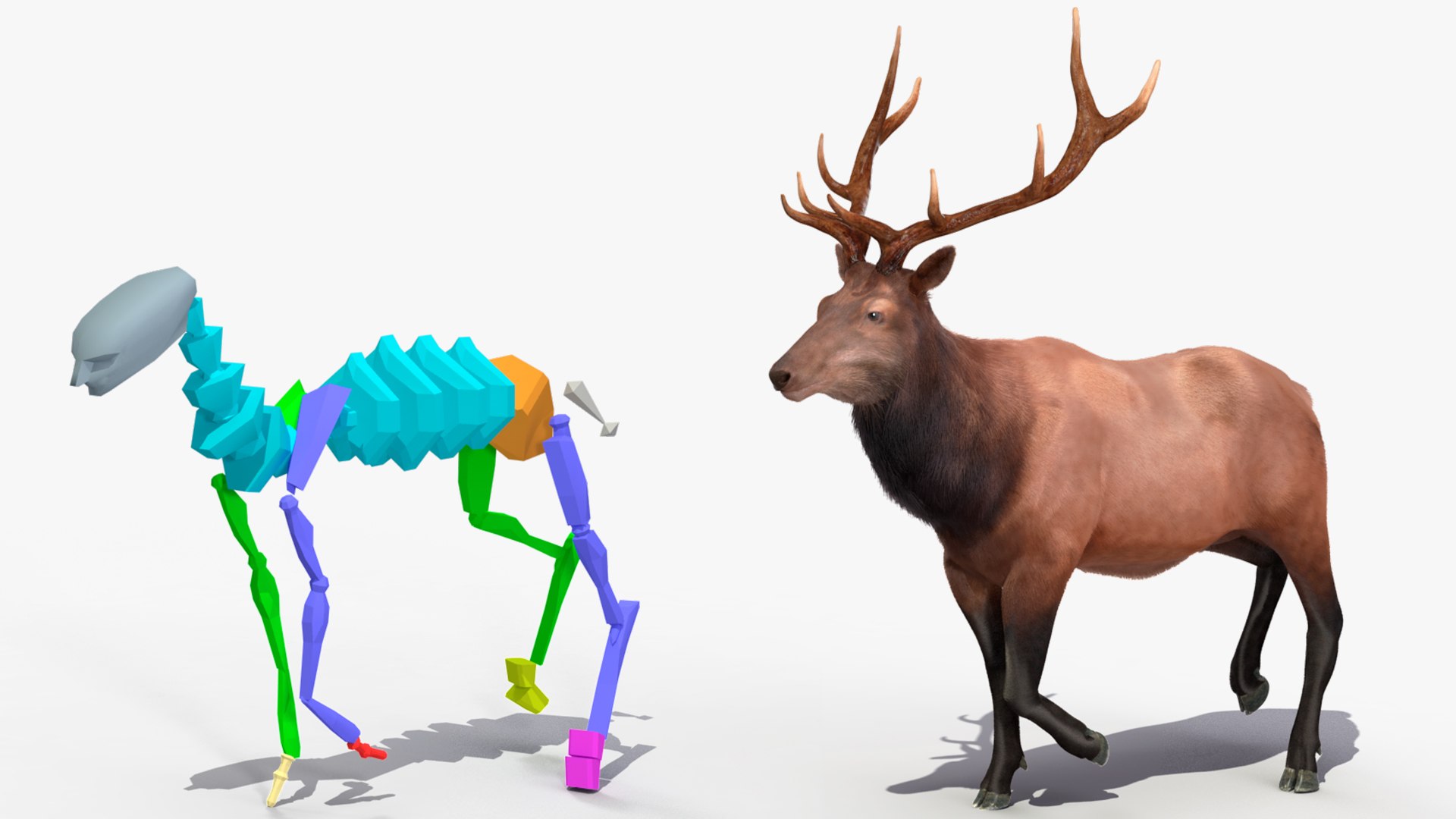 Realistic Elk Rigged With Fur 3D Model - TurboSquid 2263585