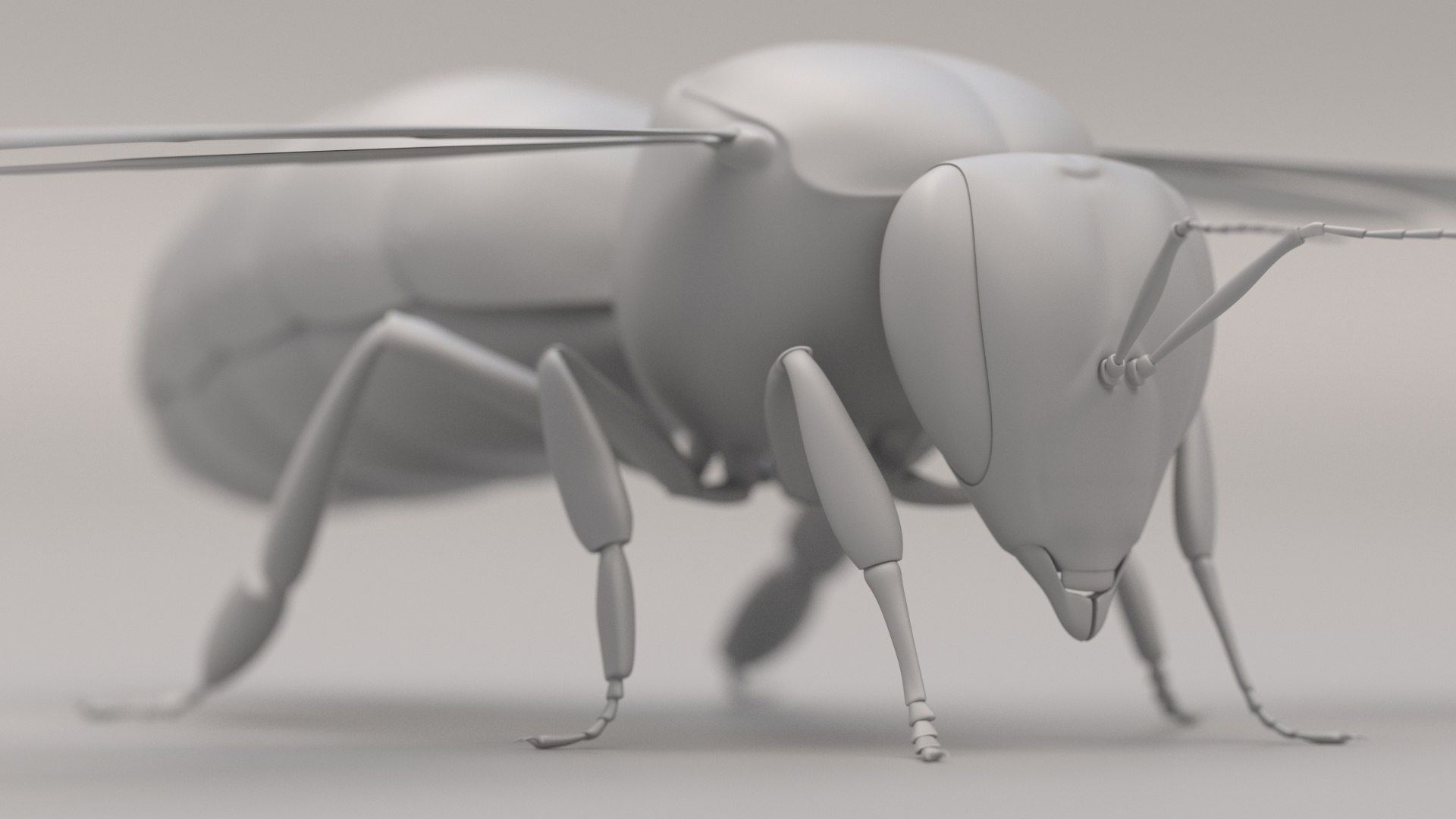 Bee 3D model - TurboSquid 1864644