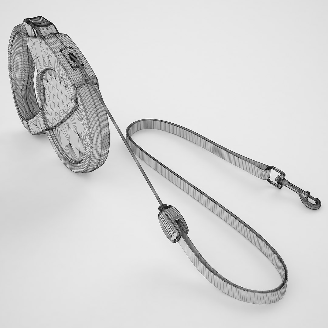 3d Dog Leash Model