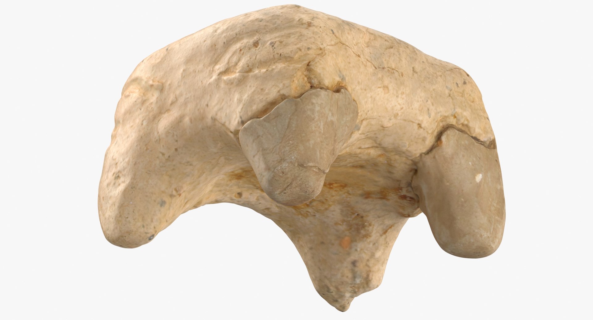 3D Ancient Cult Table 01 - TurboSquid 1828067