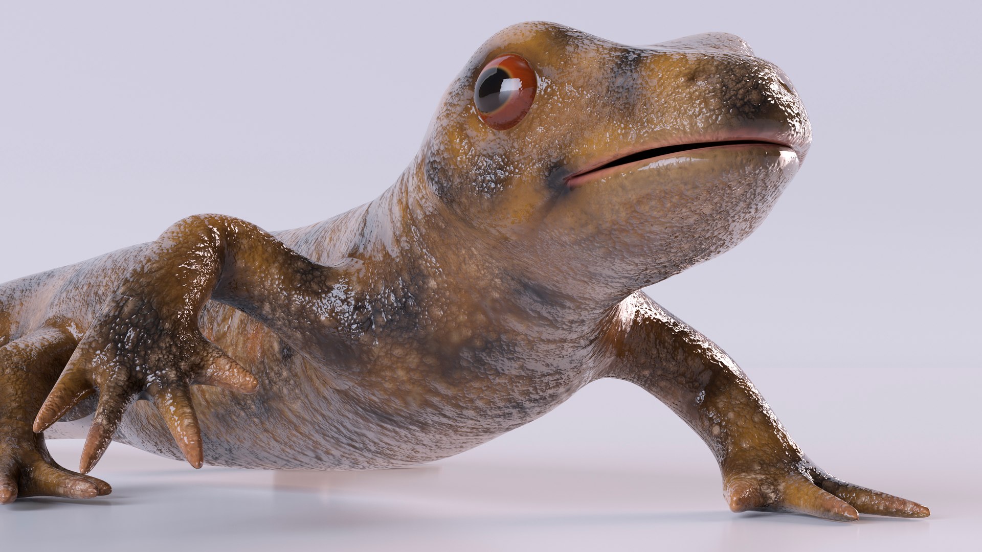 3D Spanish Ribbed Newt Crawling Pose Model - TurboSquid 2141150