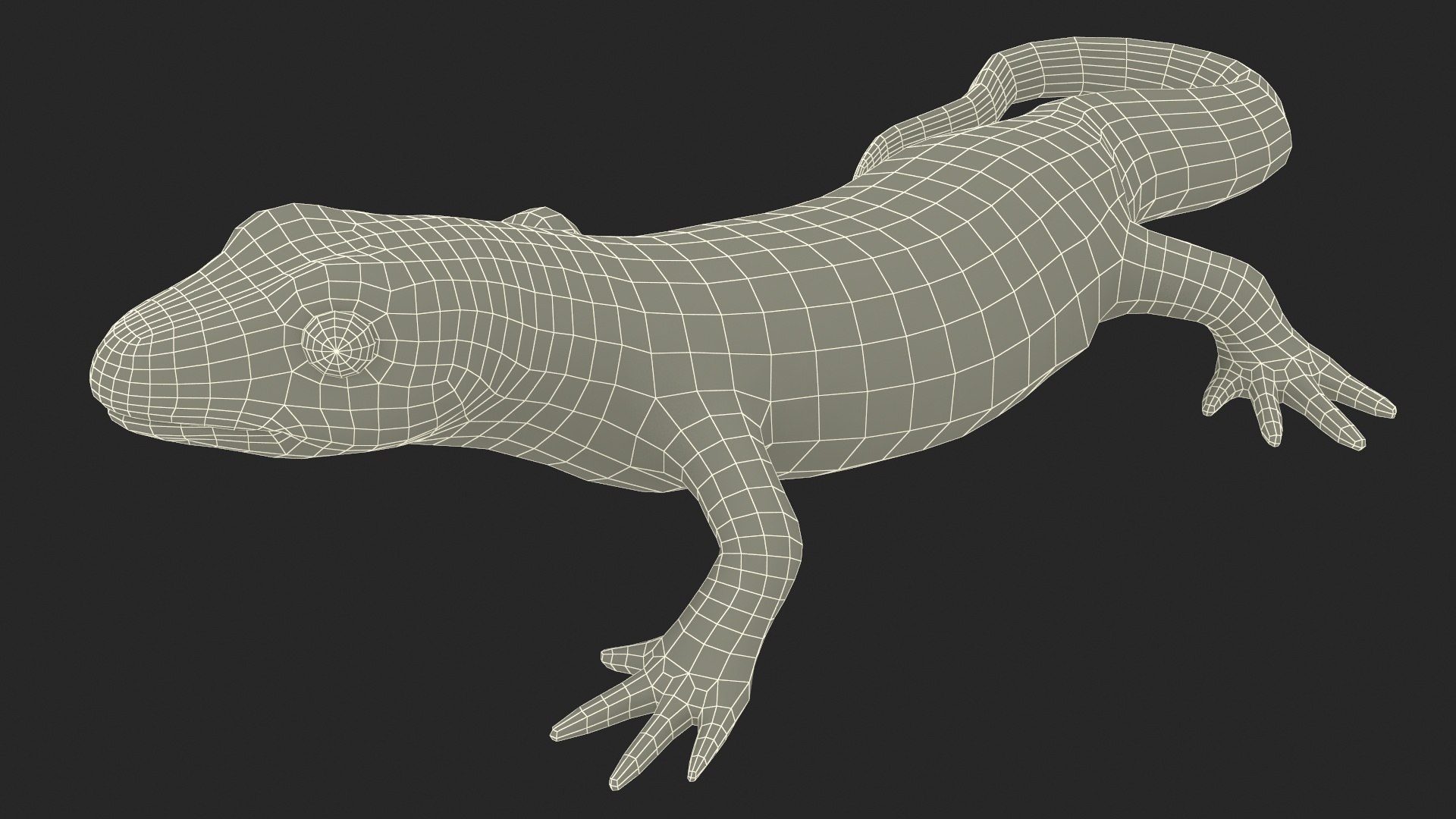 3D Spanish Ribbed Newt Crawling Pose Model - TurboSquid 2141150