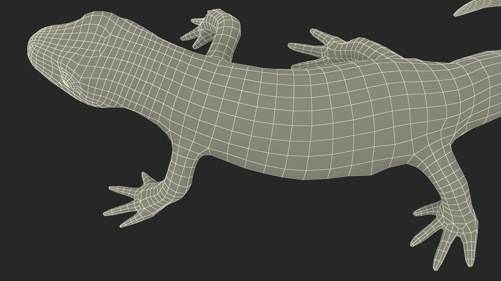 3D Spanish Ribbed Newt Crawling Pose Model - TurboSquid 2141150