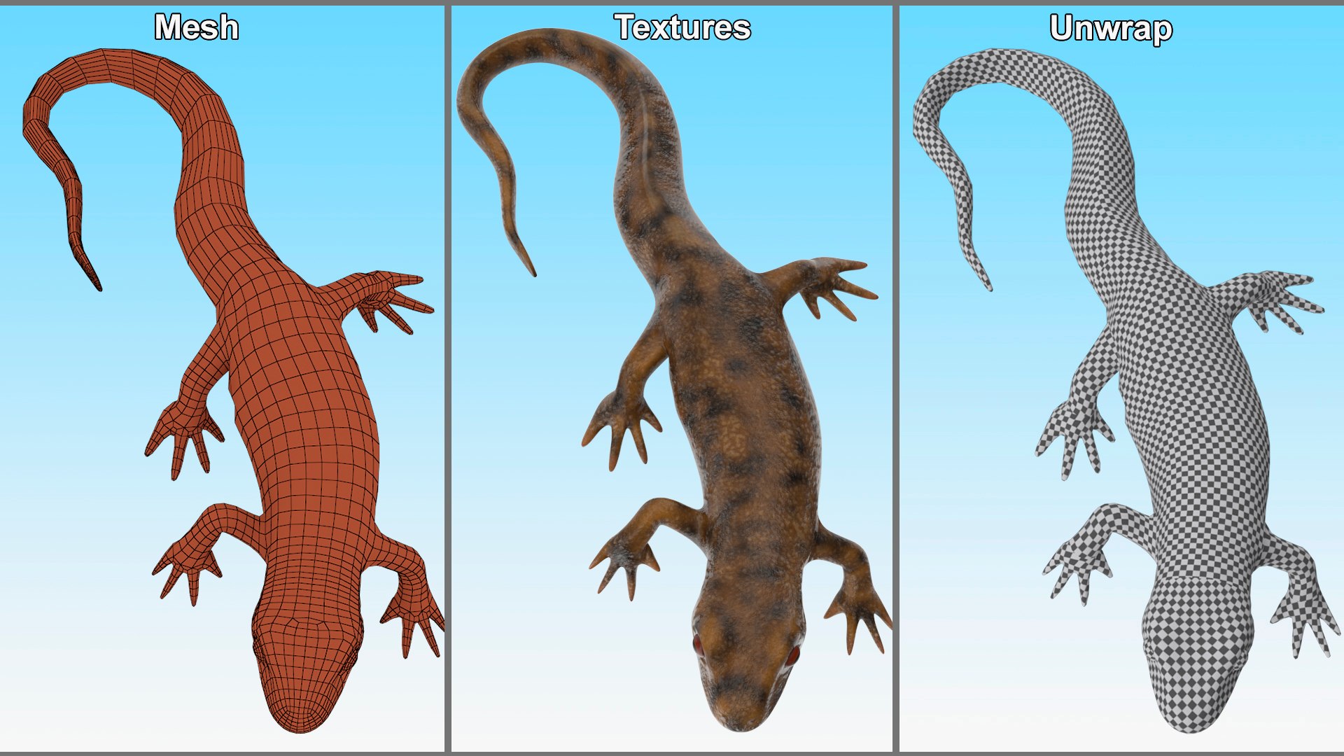 3D Spanish Ribbed Newt Crawling Pose Model - TurboSquid 2141150