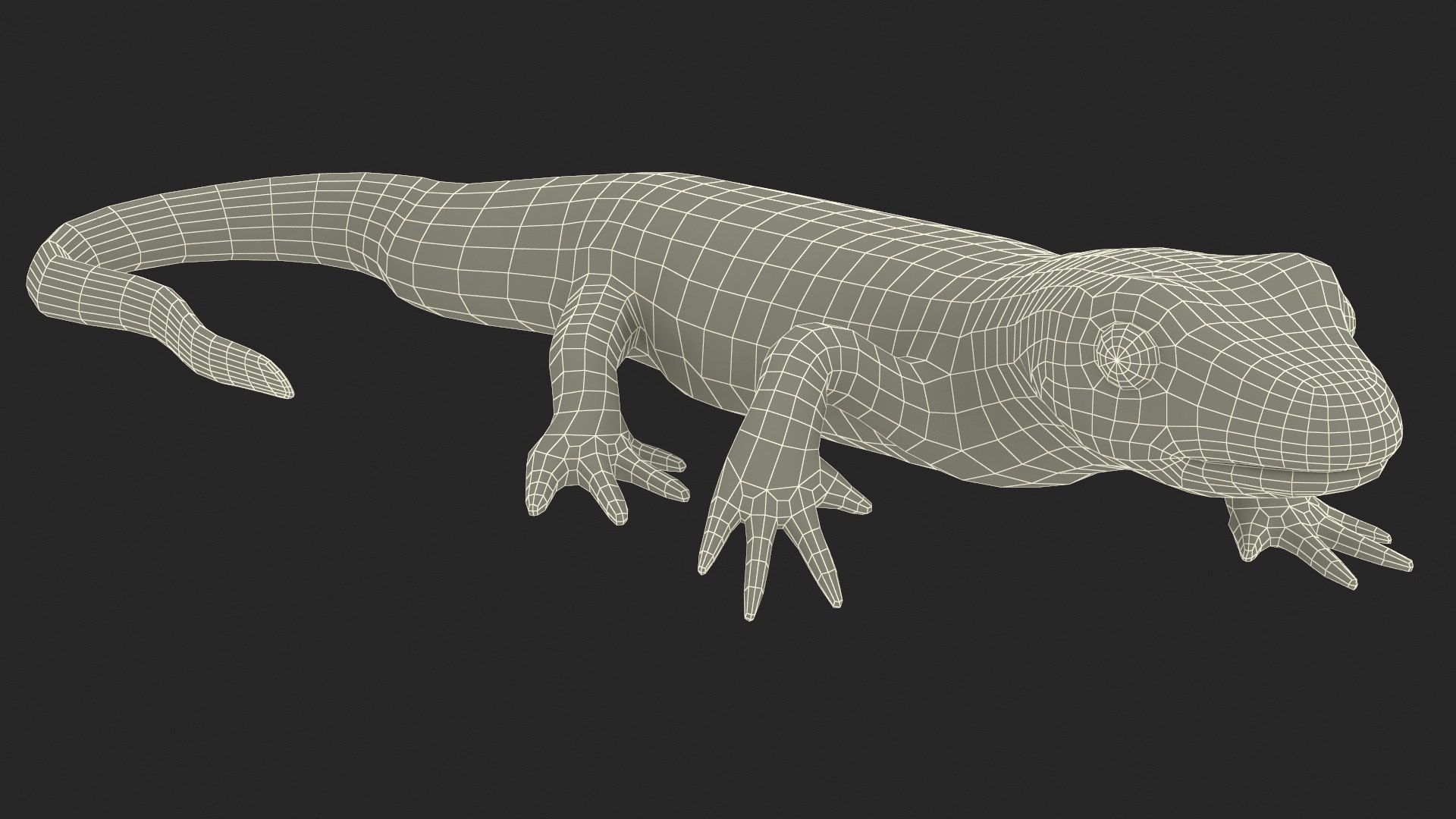 3D Spanish Ribbed Newt Crawling Pose Model - TurboSquid 2141150