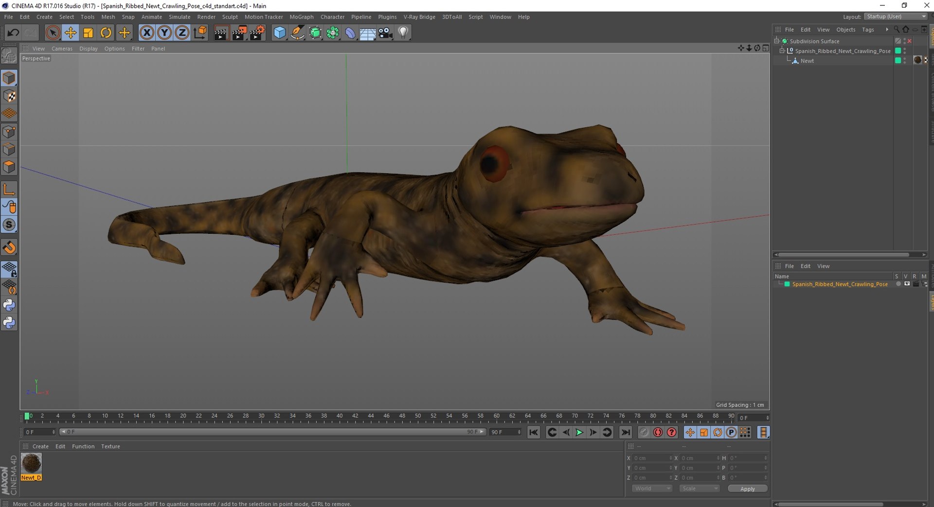 3D Spanish Ribbed Newt Crawling Pose Model - TurboSquid 2141150