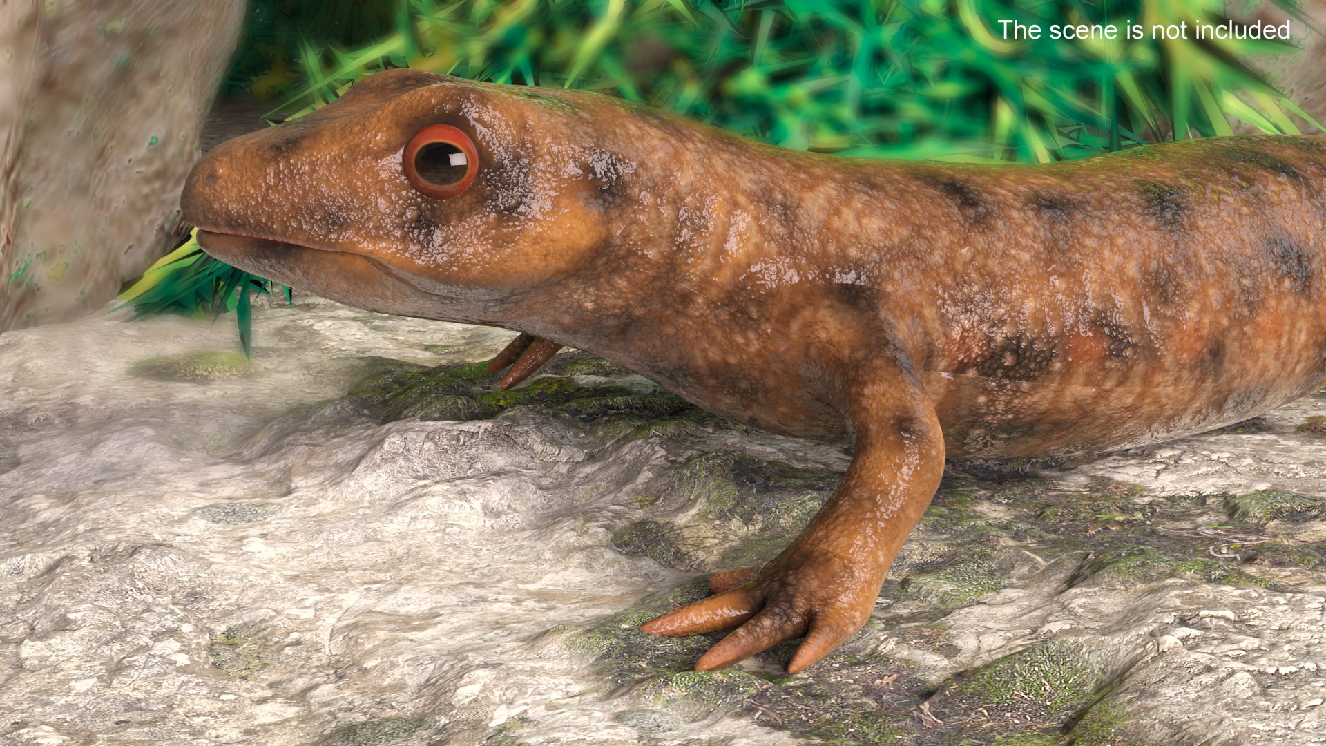 3D Spanish Ribbed Newt Crawling Pose Model - TurboSquid 2141150