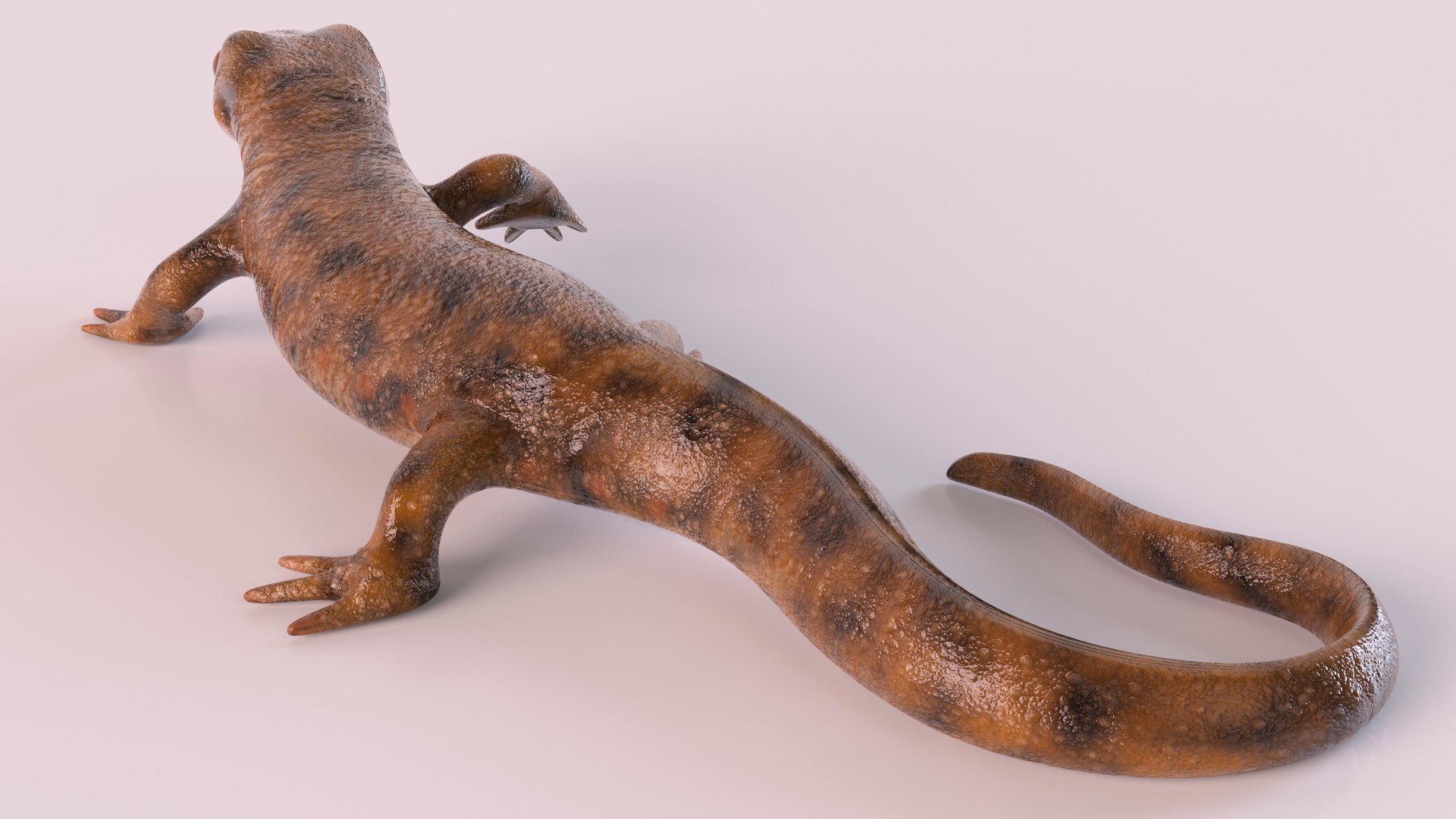 3D Spanish Ribbed Newt Crawling Pose Model - TurboSquid 2141150