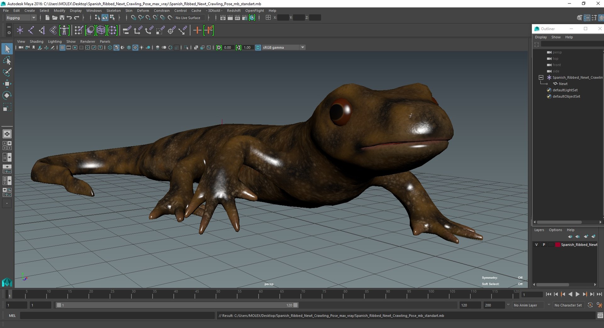 3D Spanish Ribbed Newt Crawling Pose Model - TurboSquid 2141150