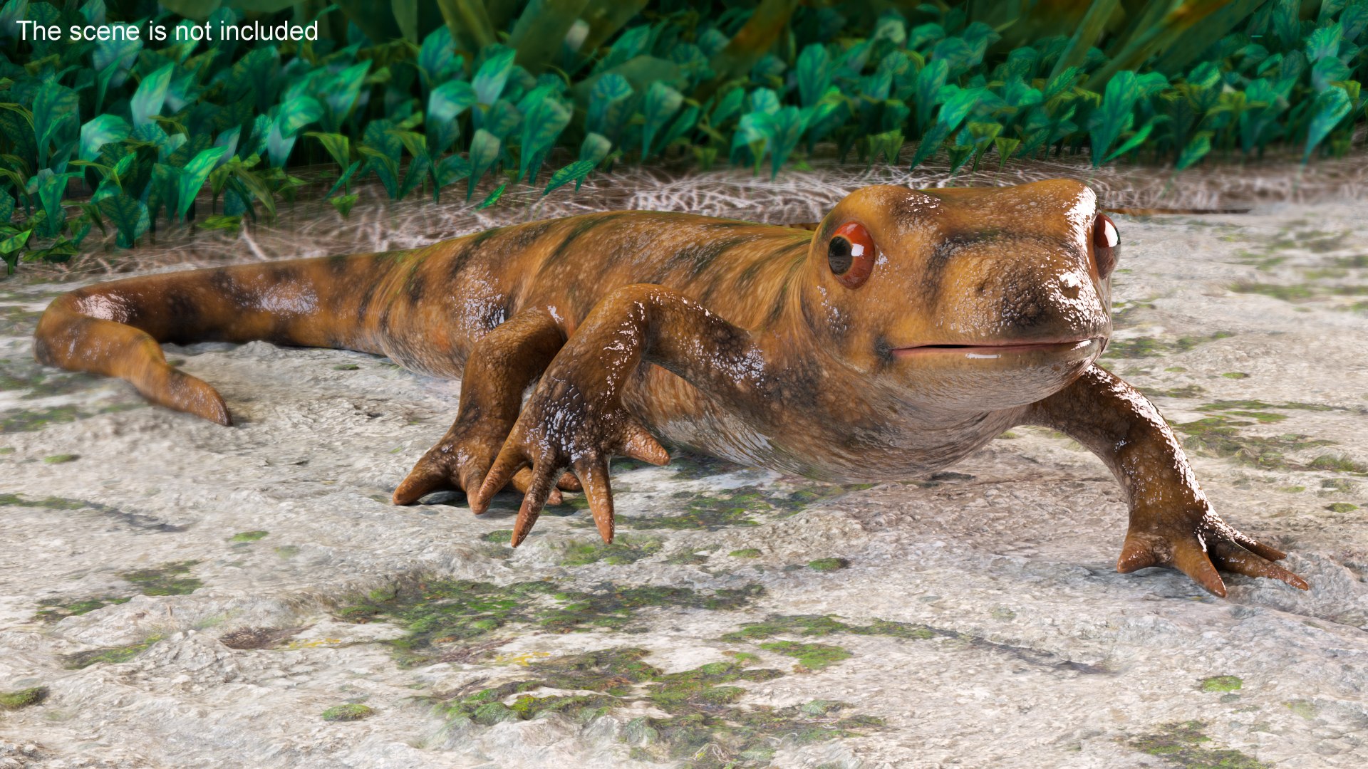 3D Spanish Ribbed Newt Crawling Pose Model - TurboSquid 2141150