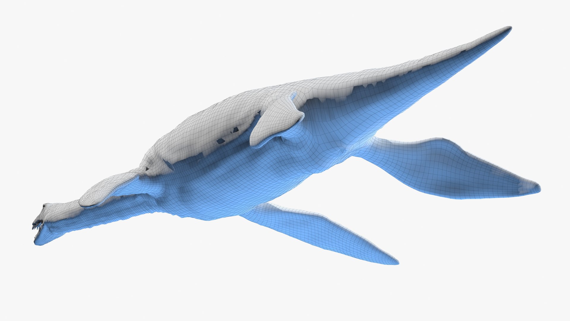 3D Plesiosaurus Model - TurboSquid 1630458