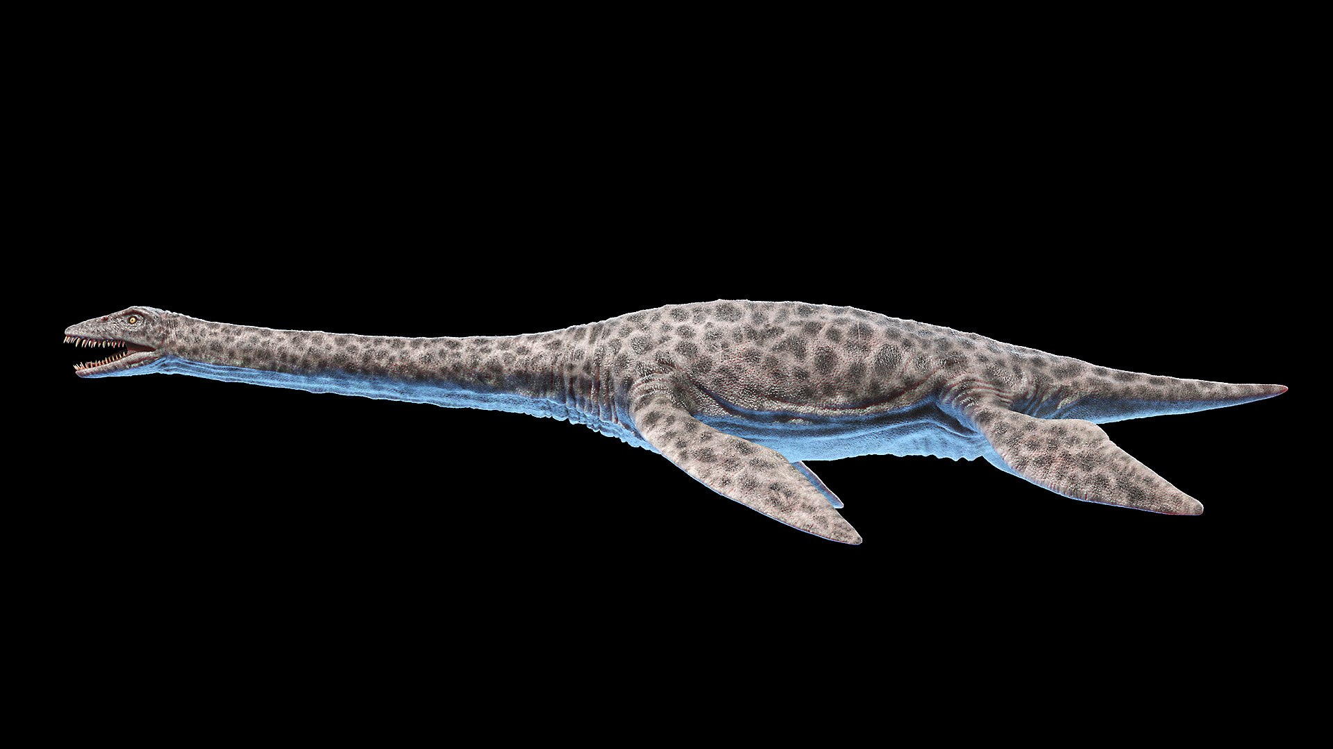3D Plesiosaurus Model - TurboSquid 1630458