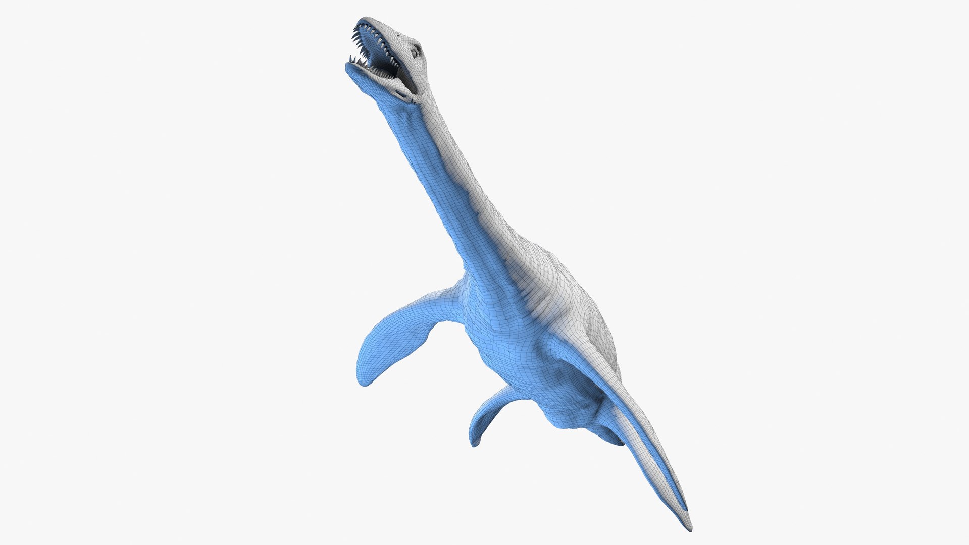 3D Plesiosaurus Model - TurboSquid 1630458