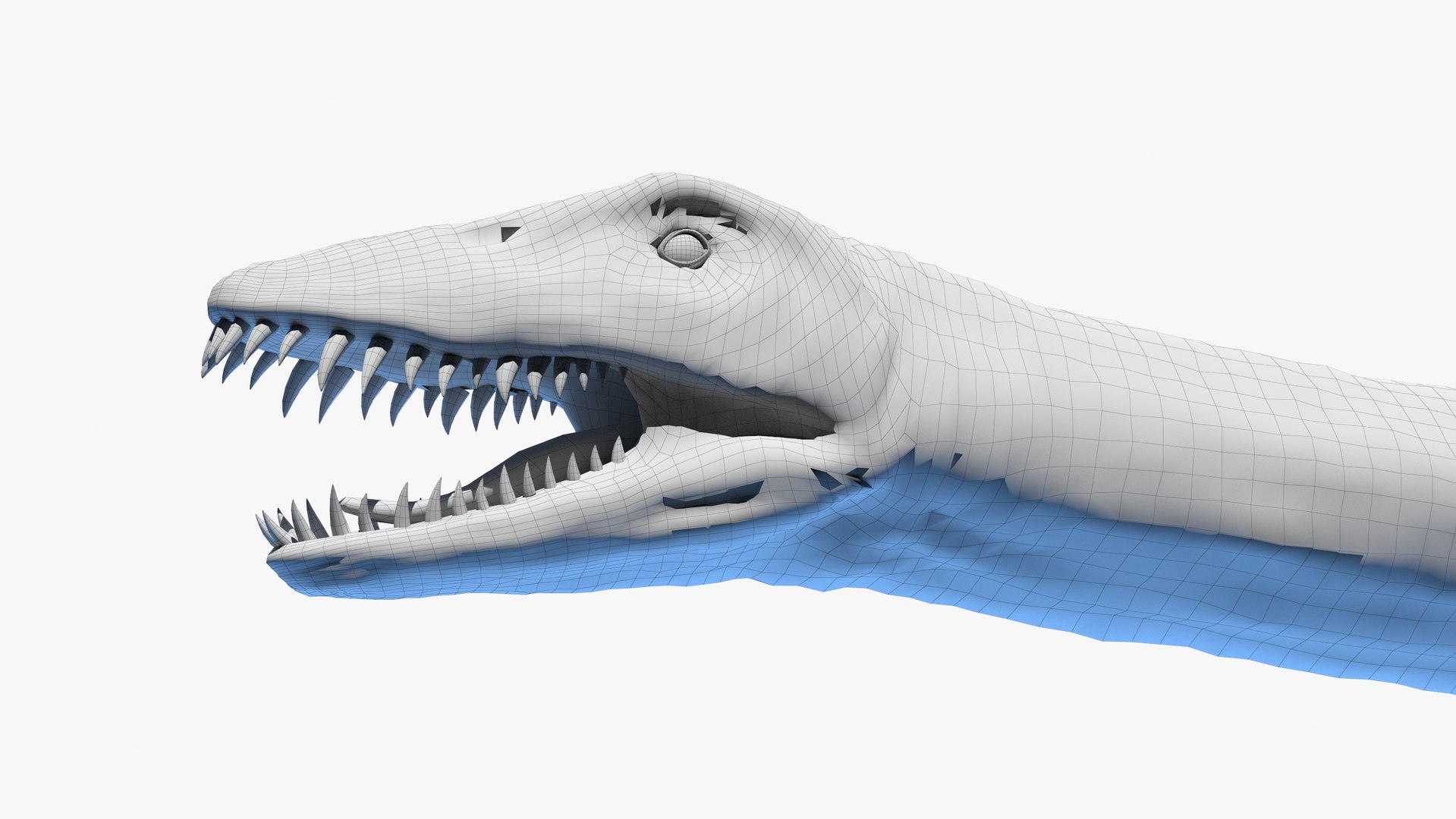 3D Plesiosaurus Model - TurboSquid 1630458
