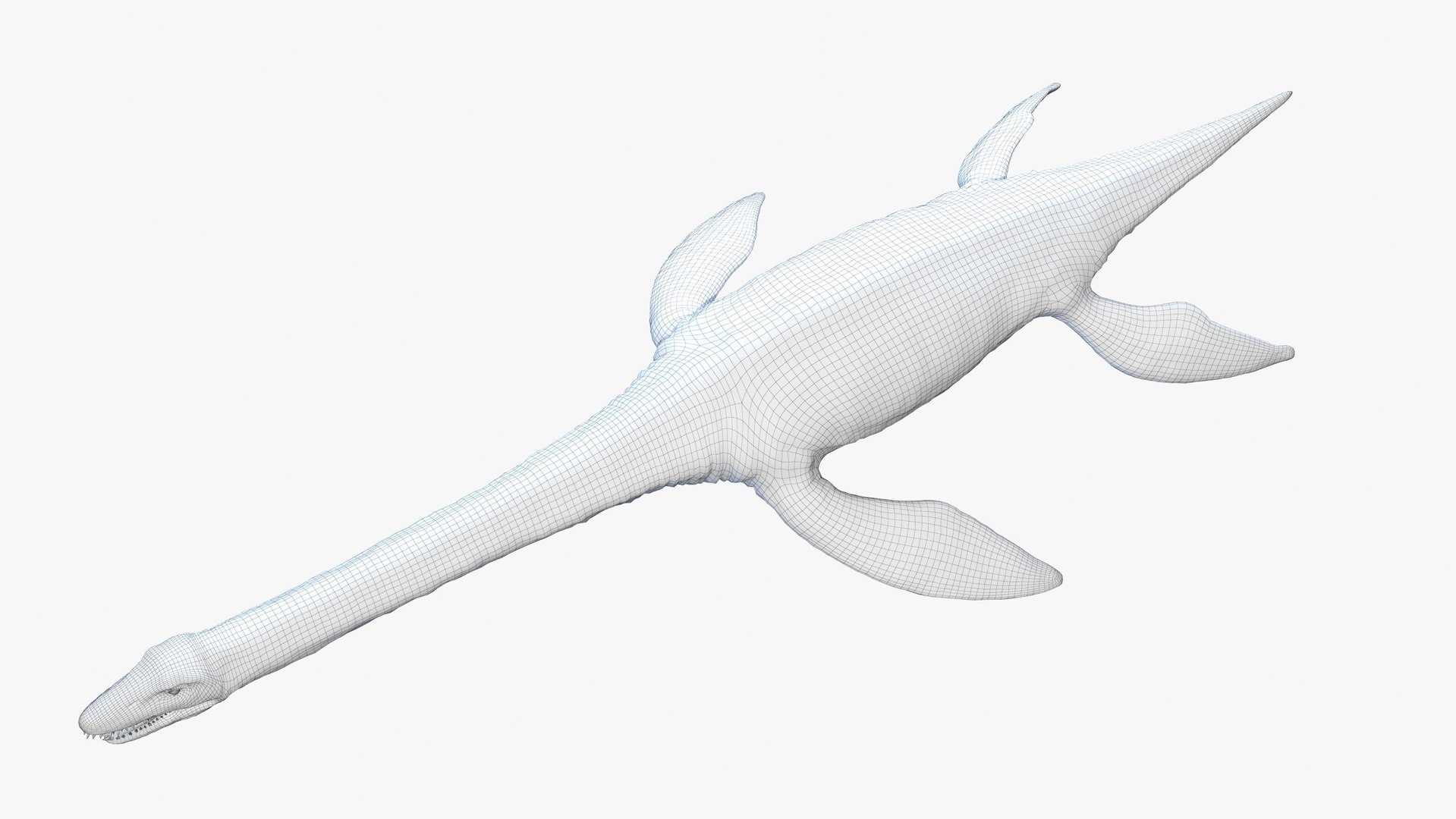 3D Plesiosaurus Model - TurboSquid 1630458