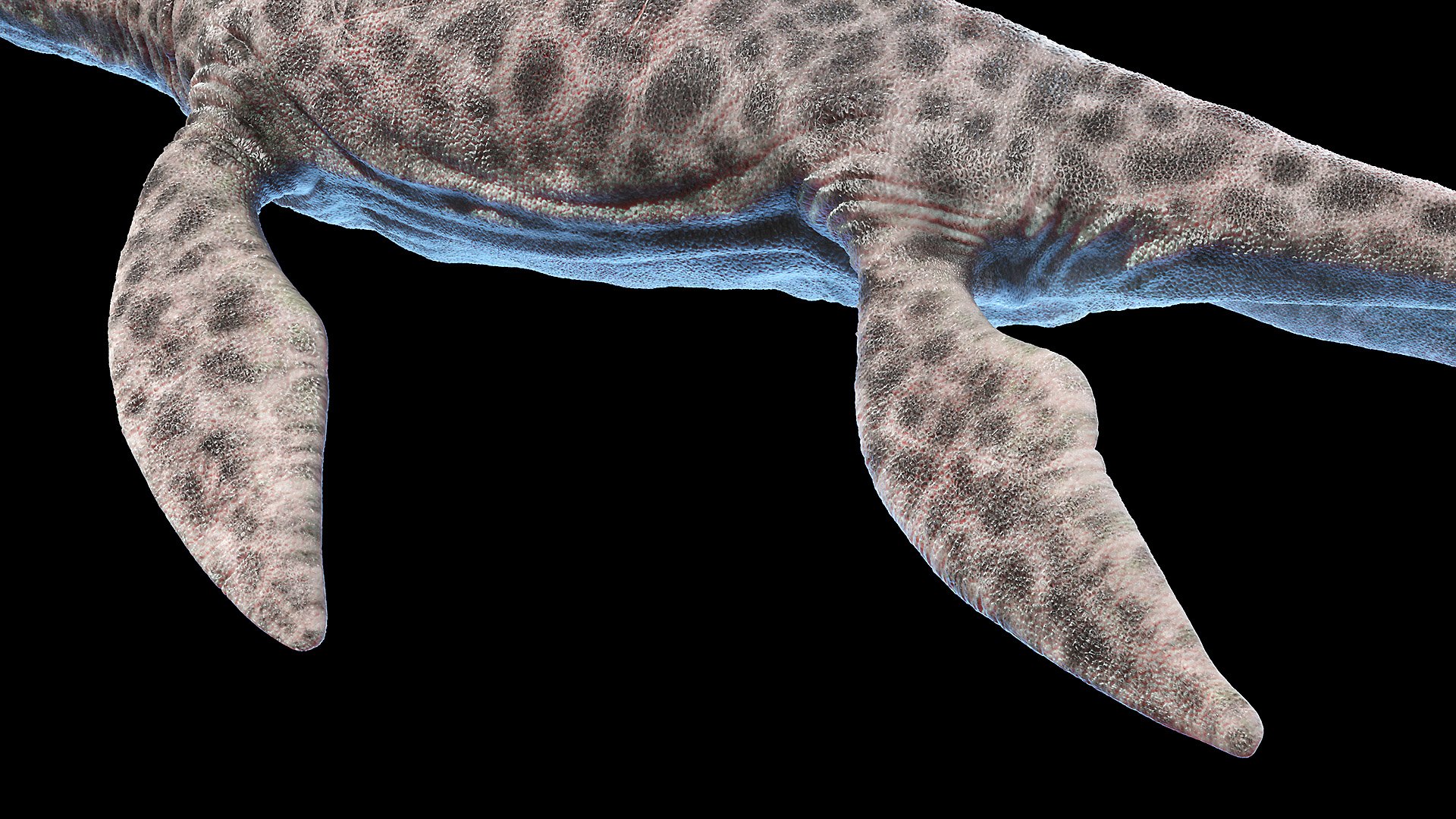 3D Plesiosaurus Model - TurboSquid 1630458