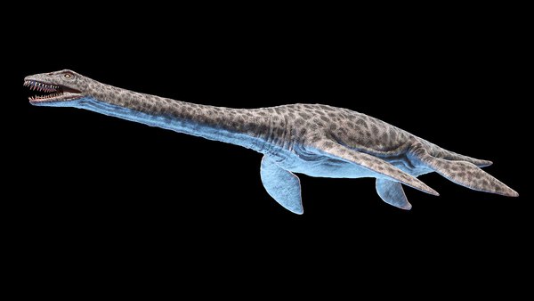 modelo 3d Plesiosaurio - TurboSquid 1630458