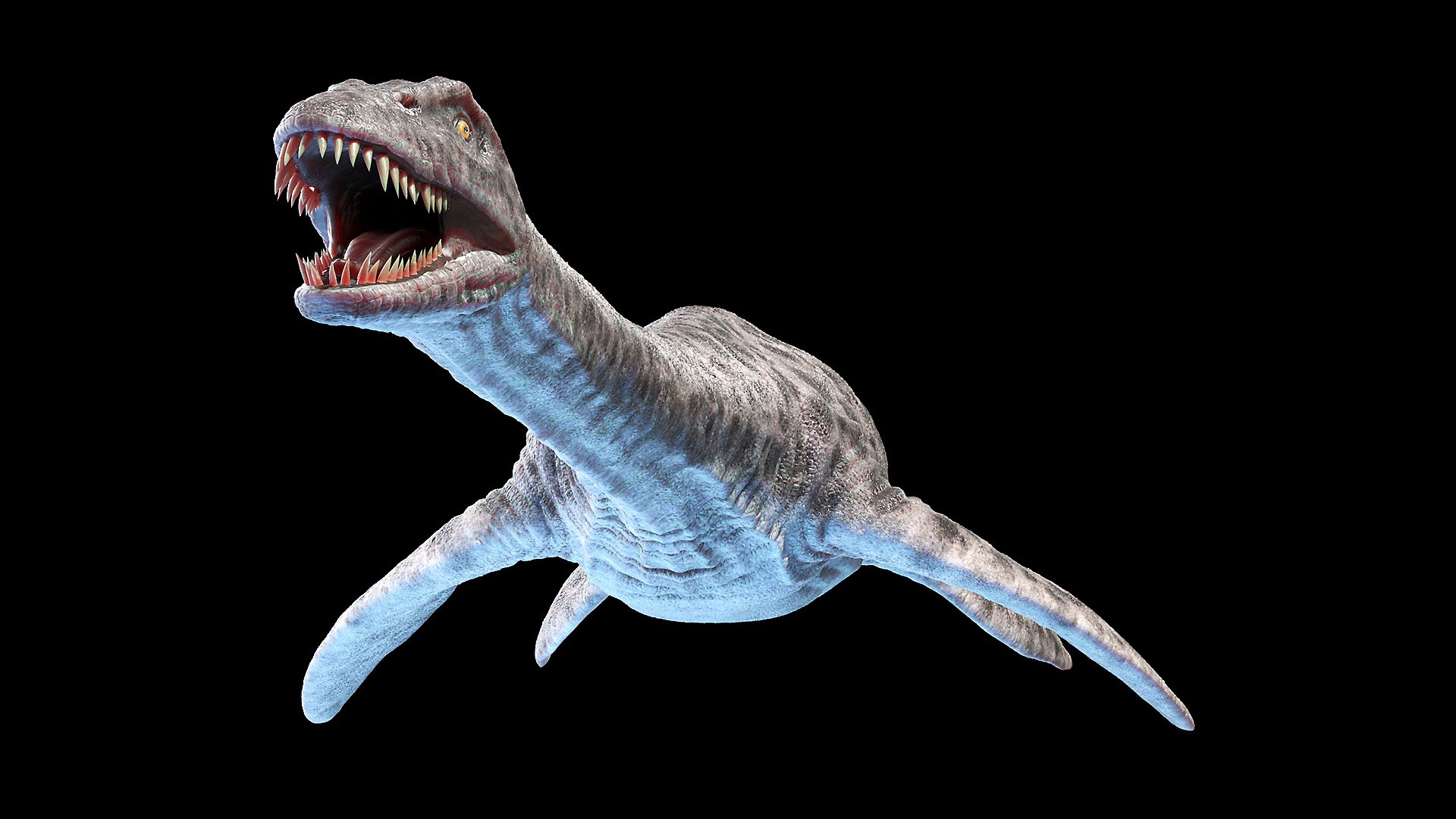 3D Plesiosaurus Model - TurboSquid 1630458