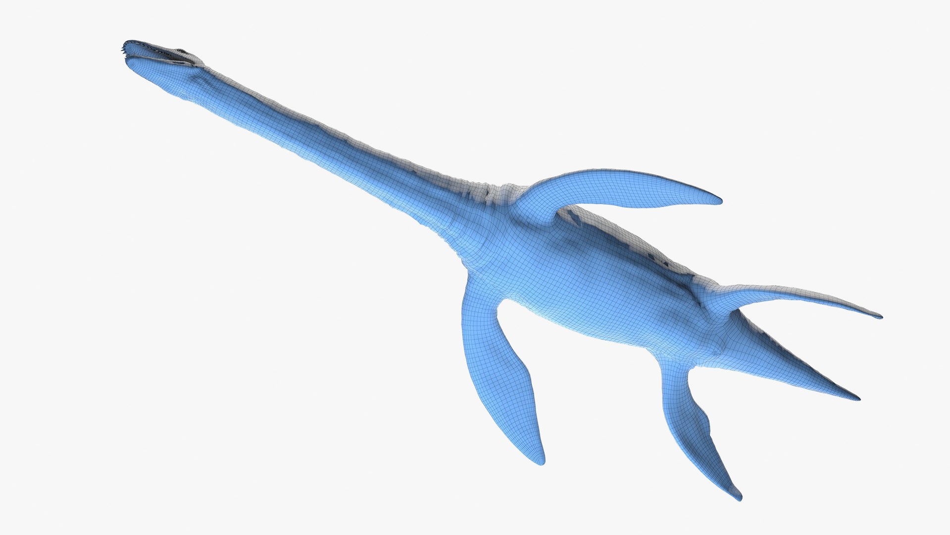 3D Plesiosaurus Model - TurboSquid 1630458