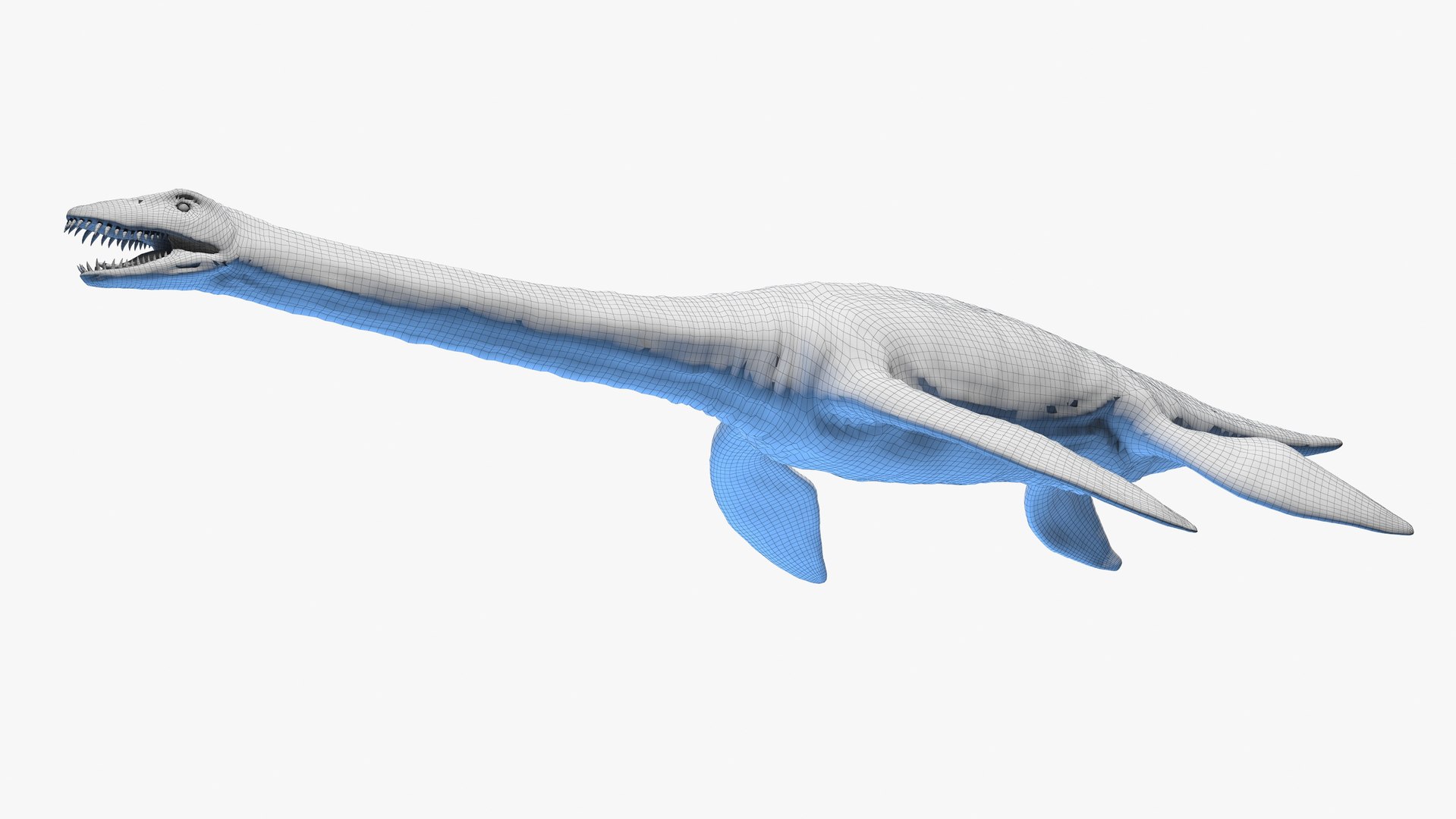 3D Plesiosaurus Model - TurboSquid 1630458
