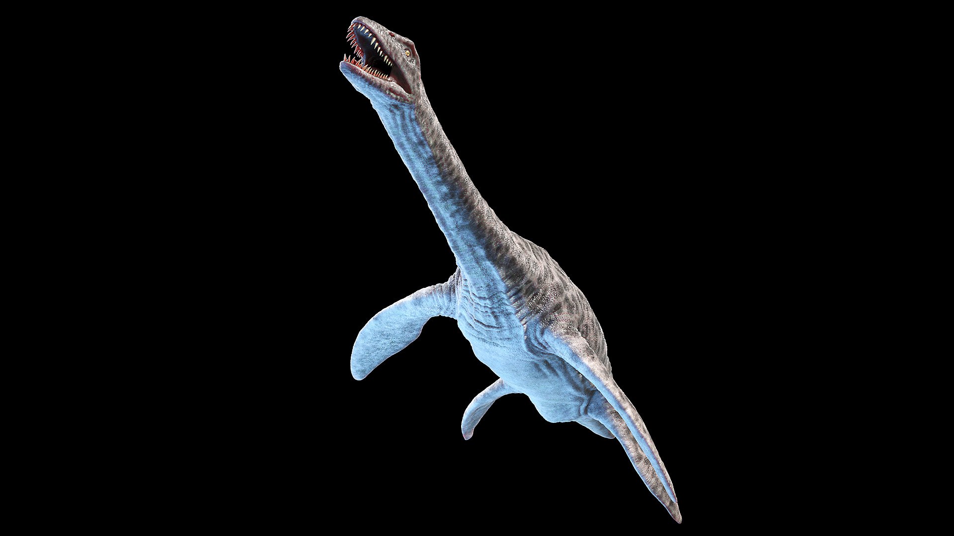3D Plesiosaurus Model - TurboSquid 1630458