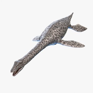 3D Plesiosaur Models - Browse & Download Formats - TurboSquid