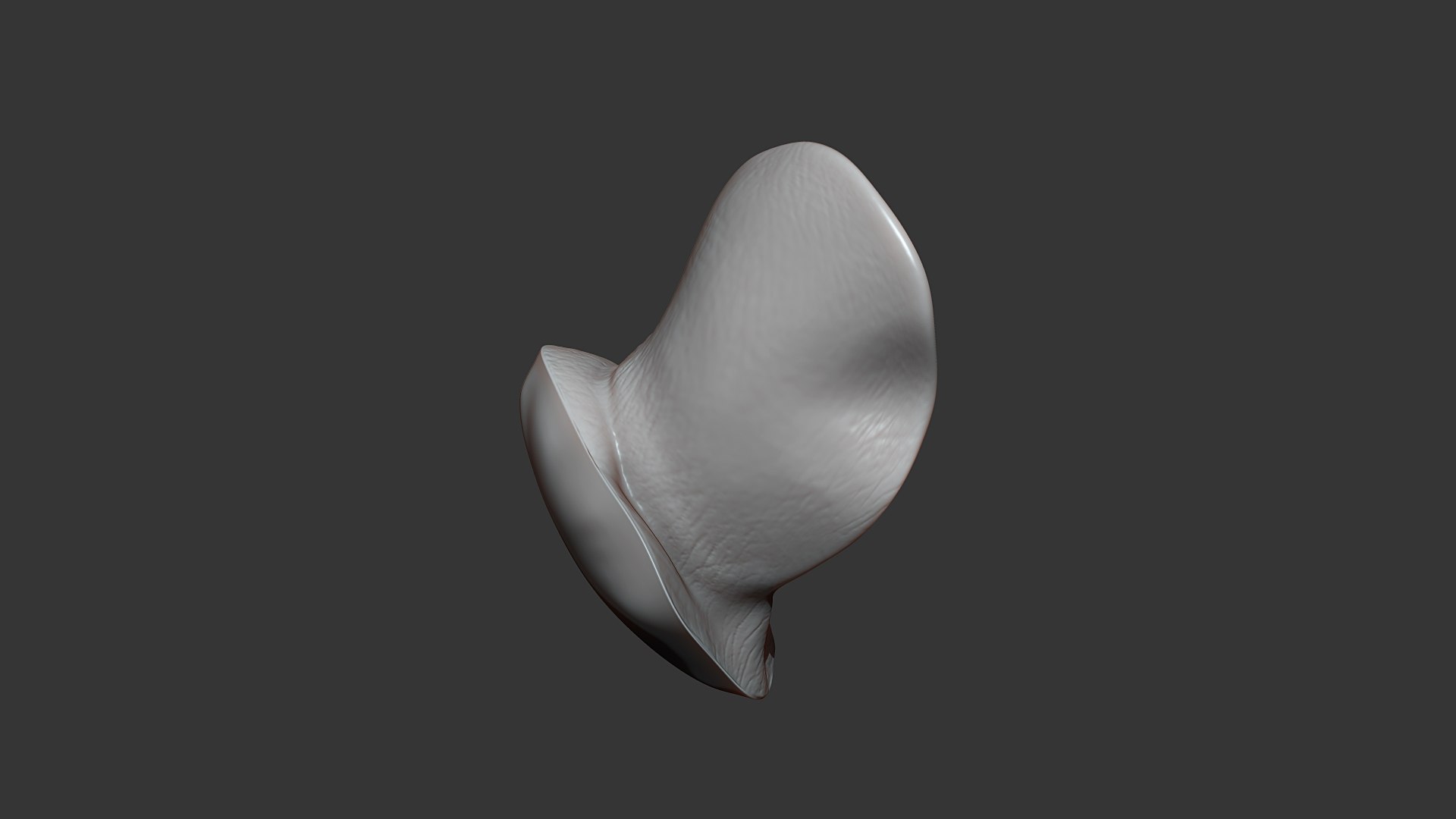 3D Model Rat Ear Highpoly Sculpt - TurboSquid 1809915