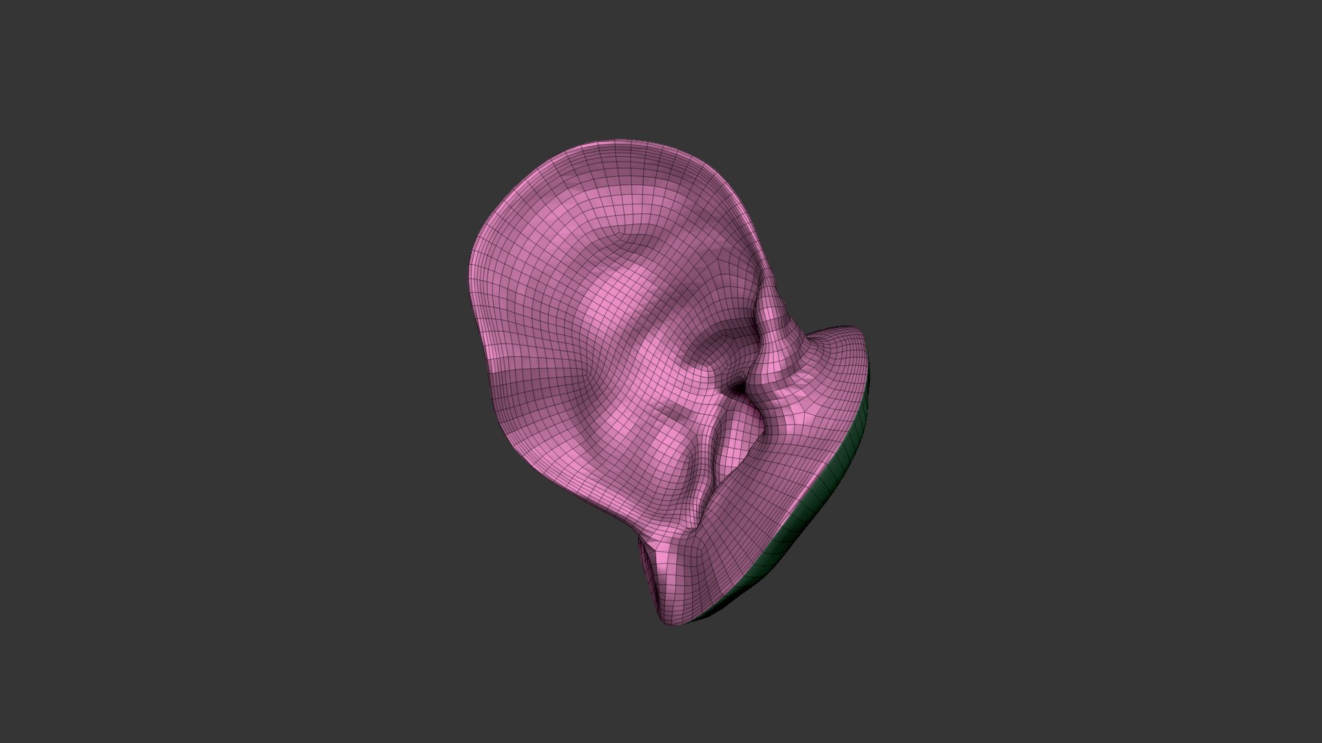 3D Model Rat Ear Highpoly Sculpt - TurboSquid 1809915