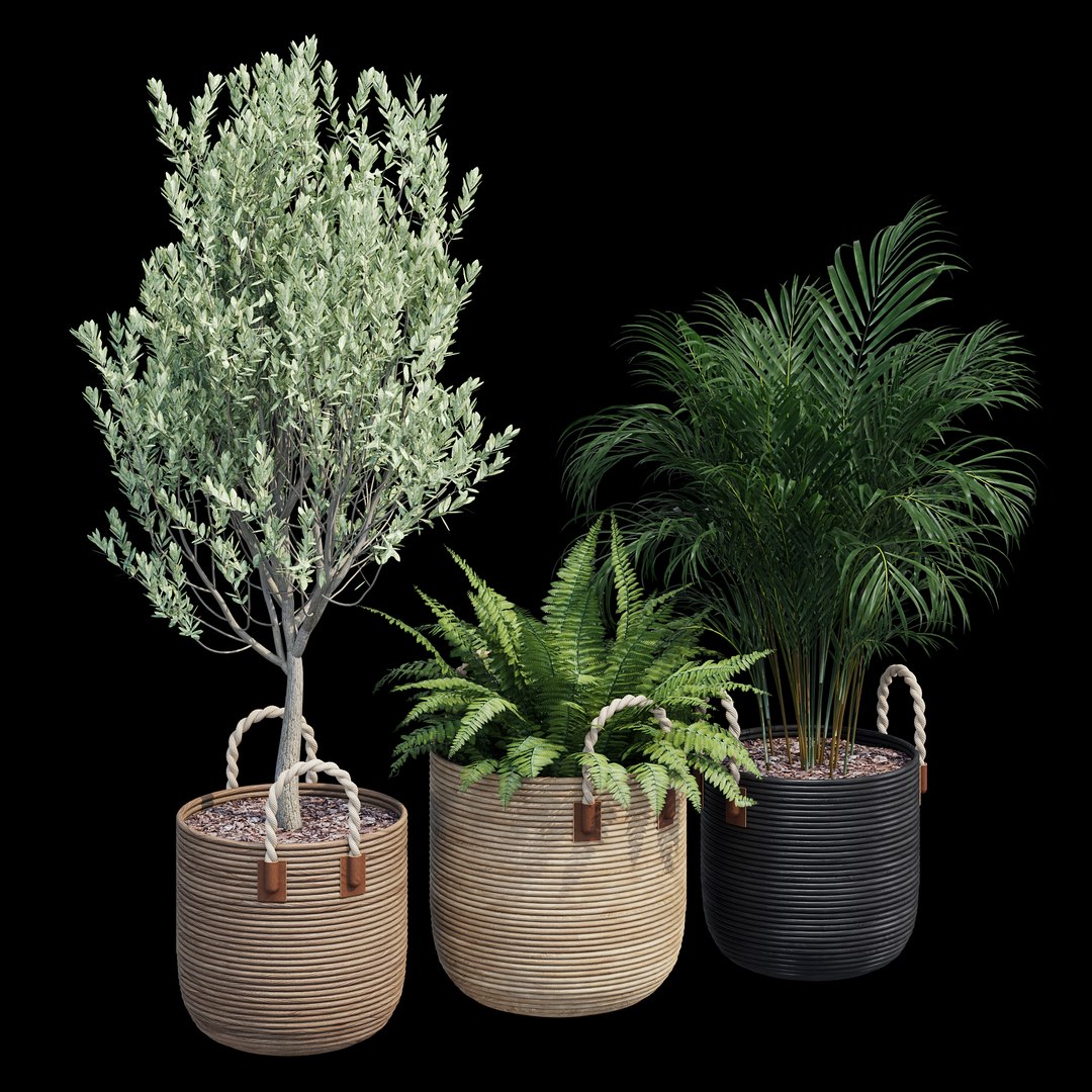 3D Bamboo Baskets Two Model - TurboSquid 1770981